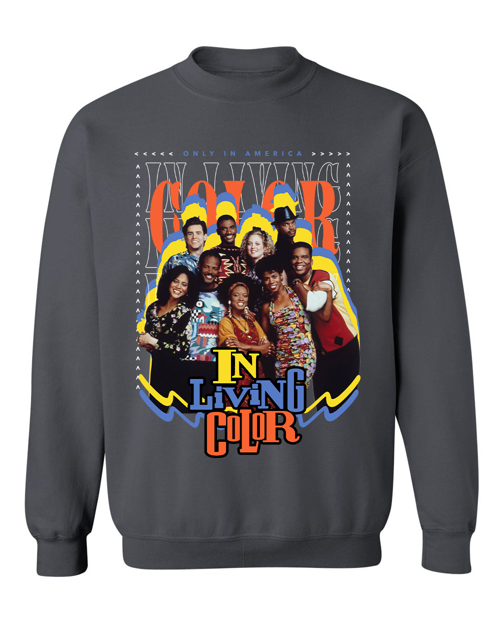 IN LIVING COLOR (T-Shirts + Sweatshirts) | ONLY IN AMERICA